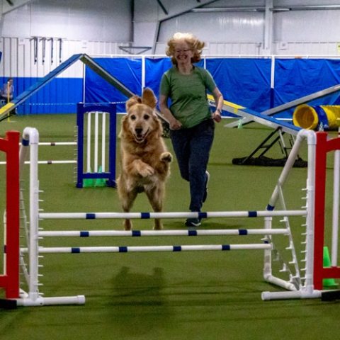 Classes - Ann Arbor Dog Training Club